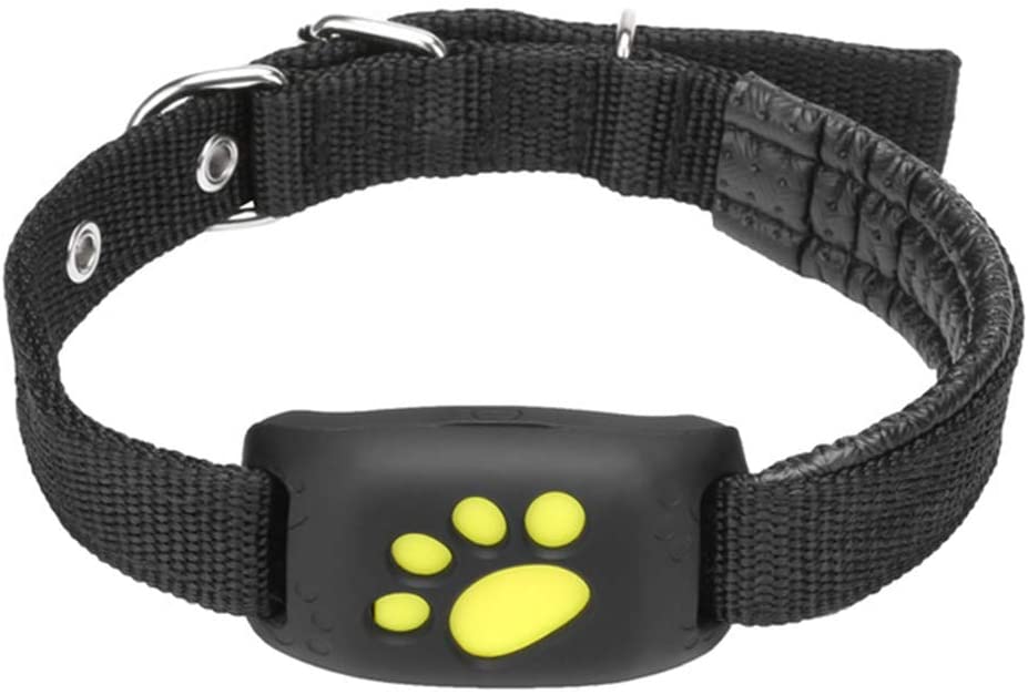 Migliore Collare GPS per Cani - Opinioni e Prezzi